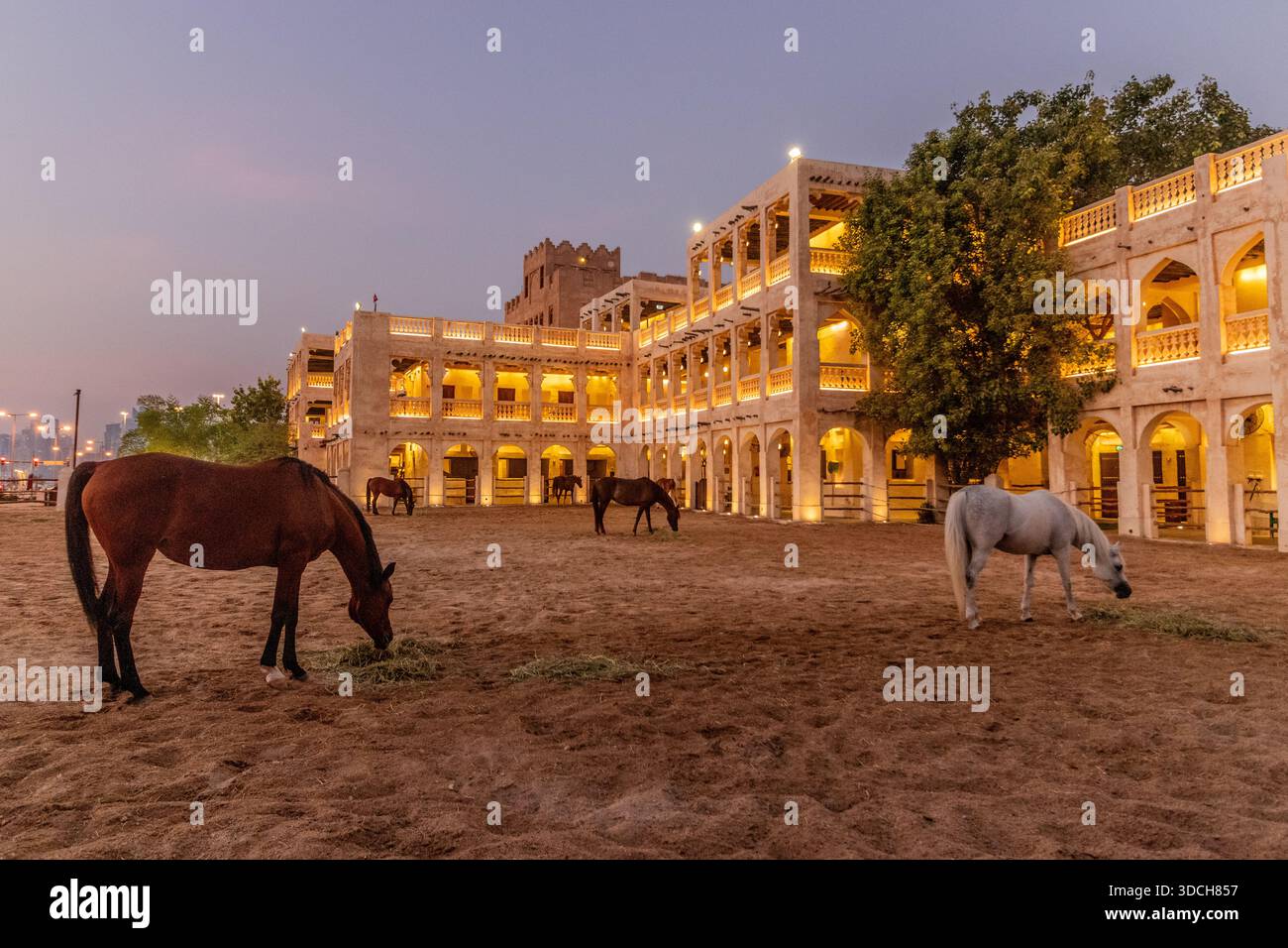 Evening view of Horse stables at Souq Waqif market in Doha, Qatar Stock ...