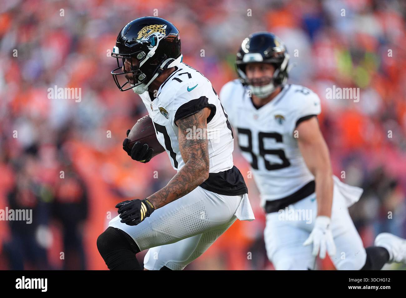 Jacksonville Jaguars wide receiver Tim Patrick (17) in the second half ...