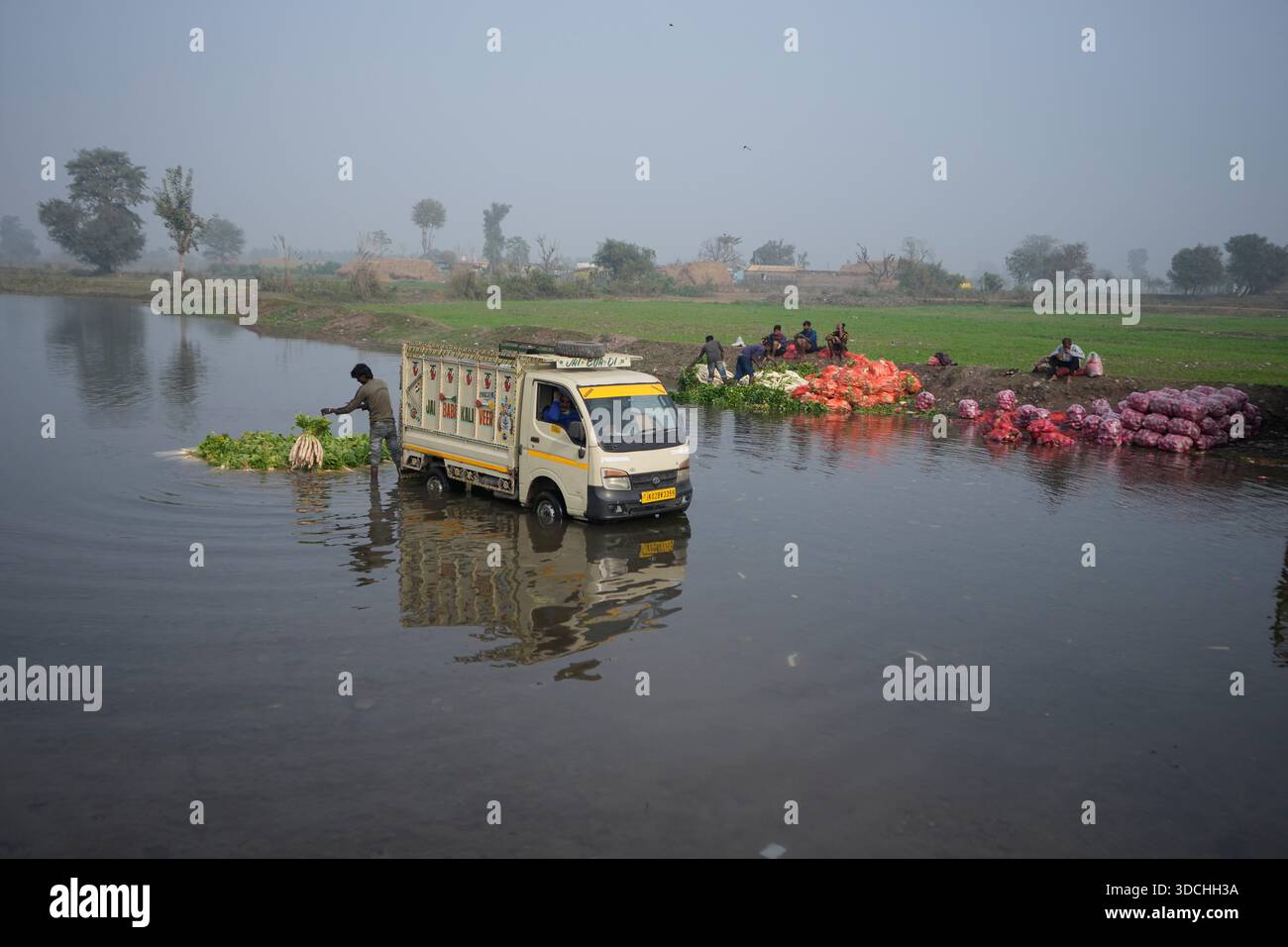 Farmers wash their vegetables in a river before selling them in a ...
