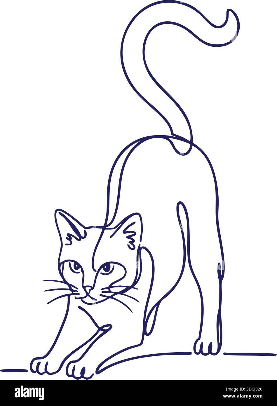 Playful cat arching its back and lifting tail in a stretching pose with ...