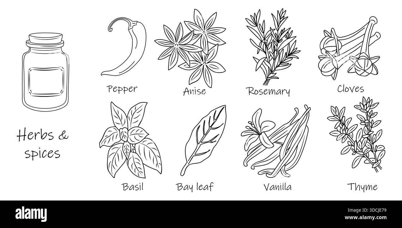 Herbs spices plants Stock Vector Images - Alamy