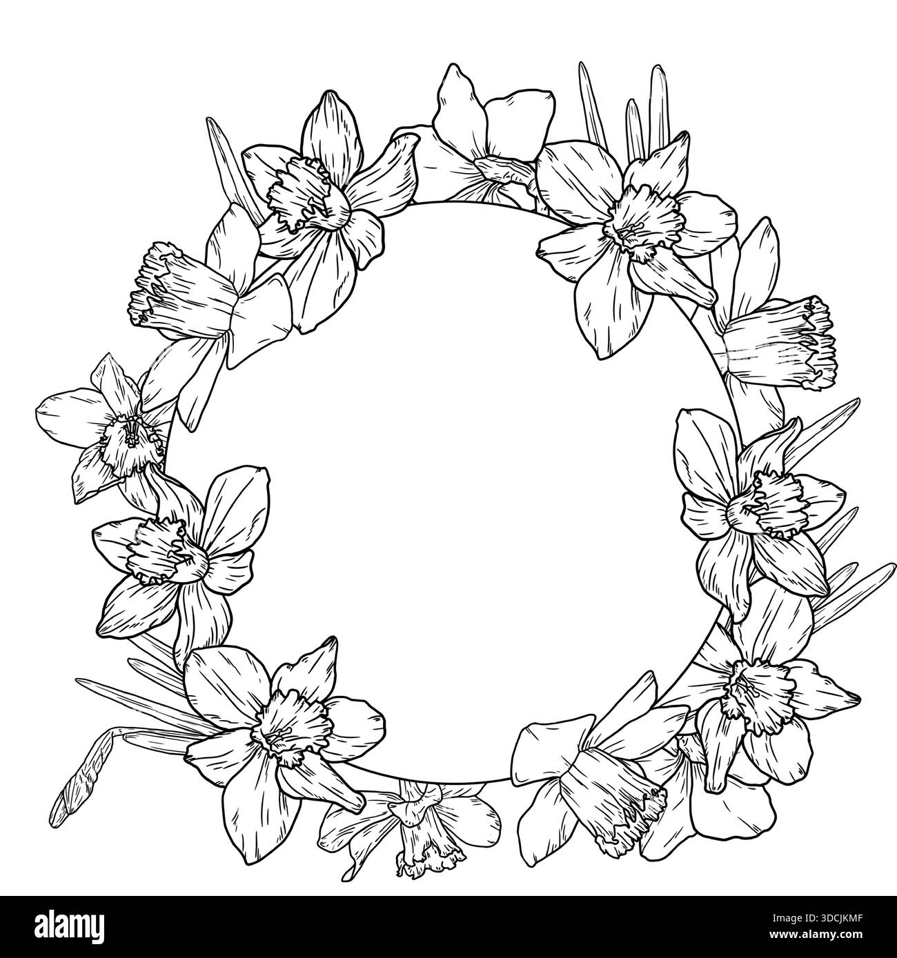 White narcissus in spring Stock Vector Images - Alamy