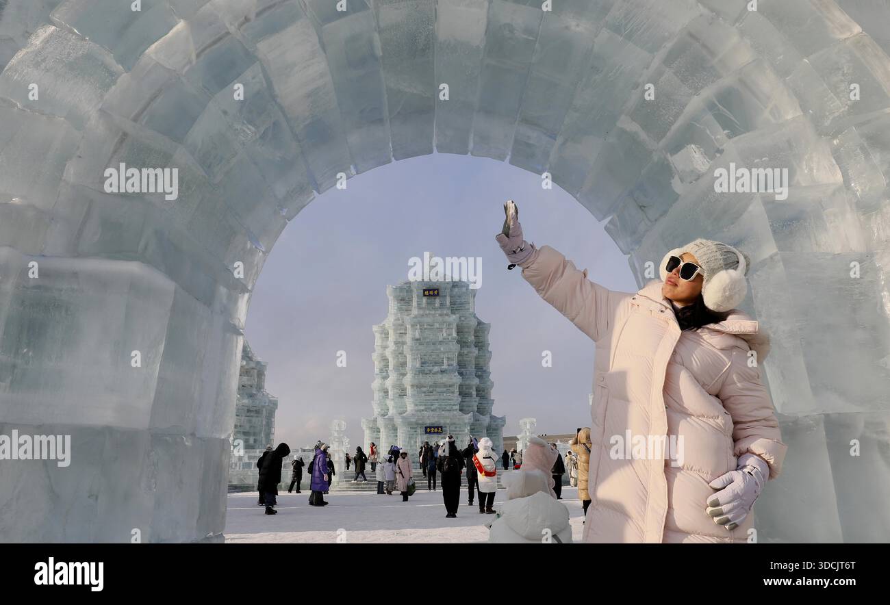 Aerial photo shows the Yellow Crane Tower ice sculpture at the 27th ...