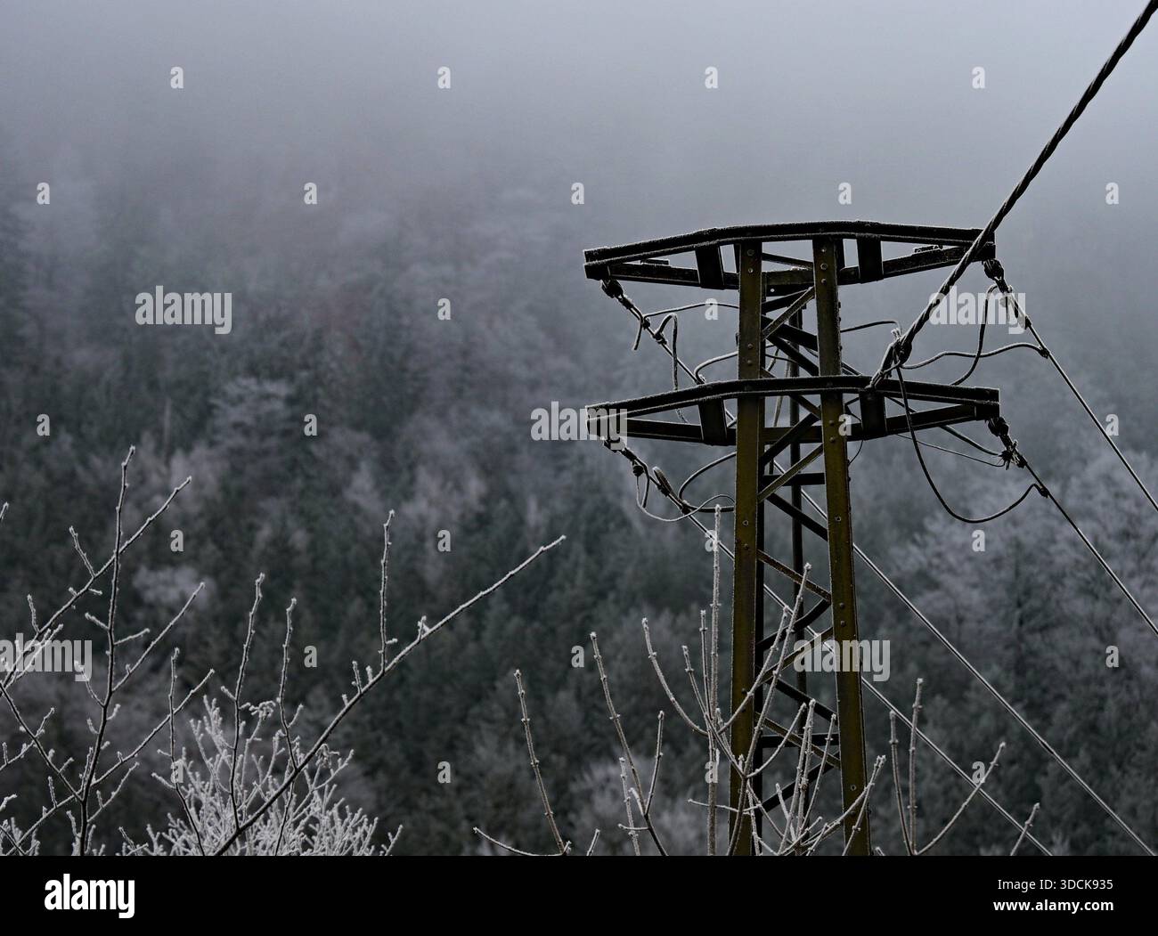 23 December 2025, Bavaria, Aschau: A power pole covered in hoarfrost ...