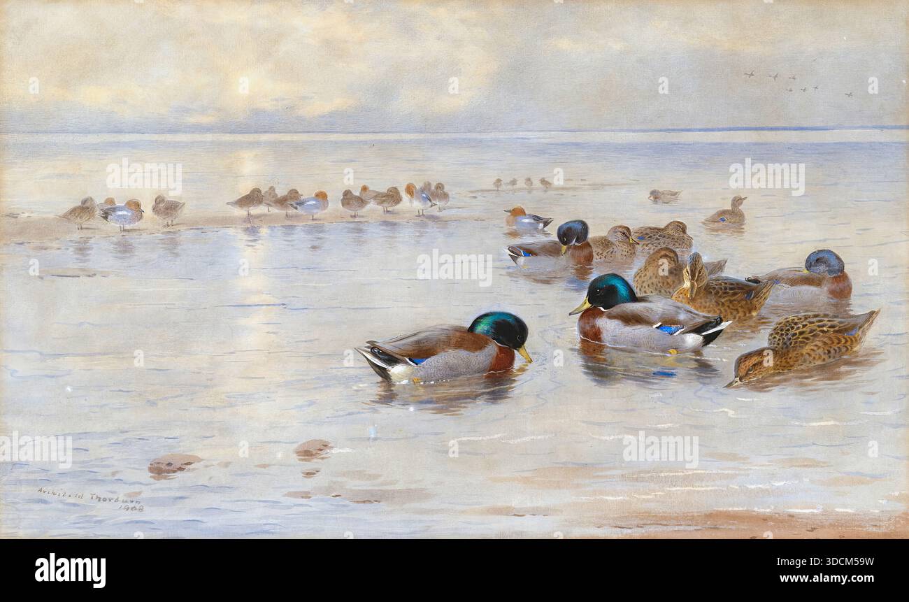 Archibald lake hi-res stock photography and images - Alamy