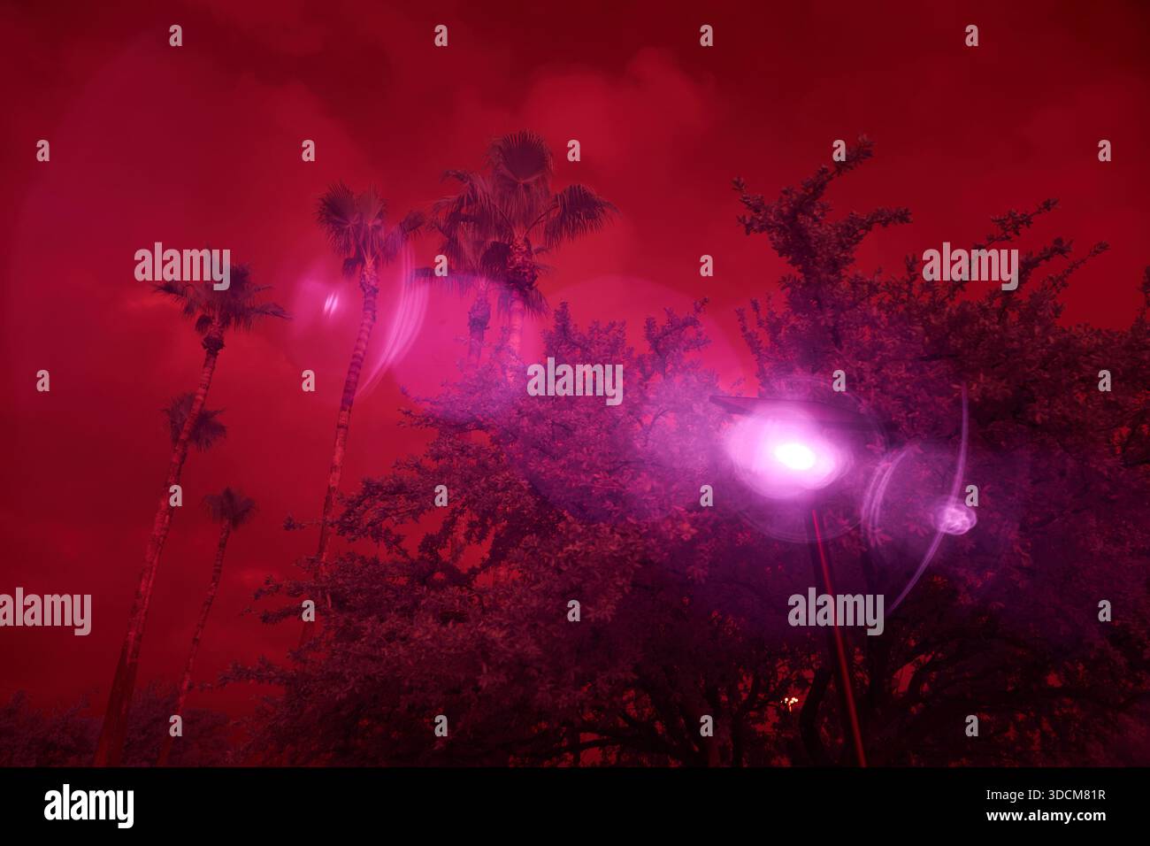 An infrared beam of light shines out of an automatic license plate ...