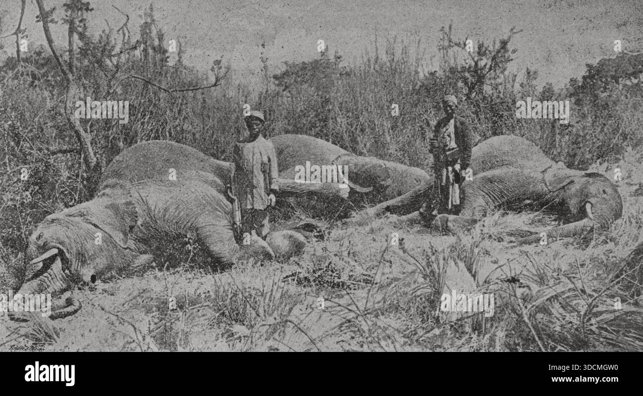 Native hunters elephant hi-res stock photography and images - Alamy