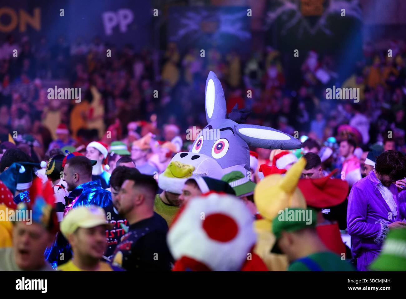 Spectators in fancy dress on day thirteen of the Paddy Power World ...