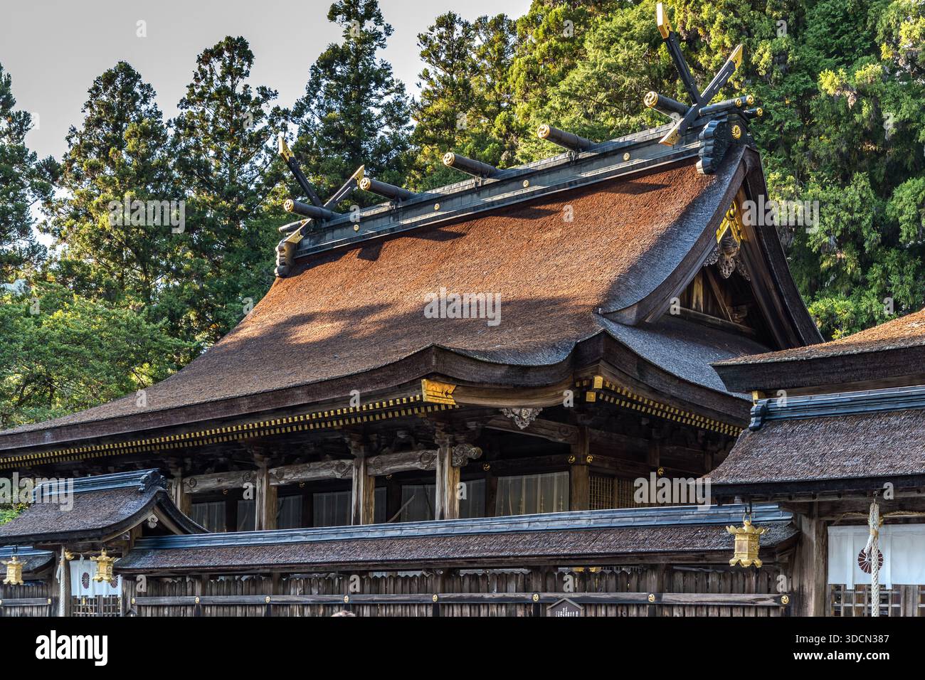 The decorative timbers on the roof of Kumano Hongu Taisha: Chigi are ...