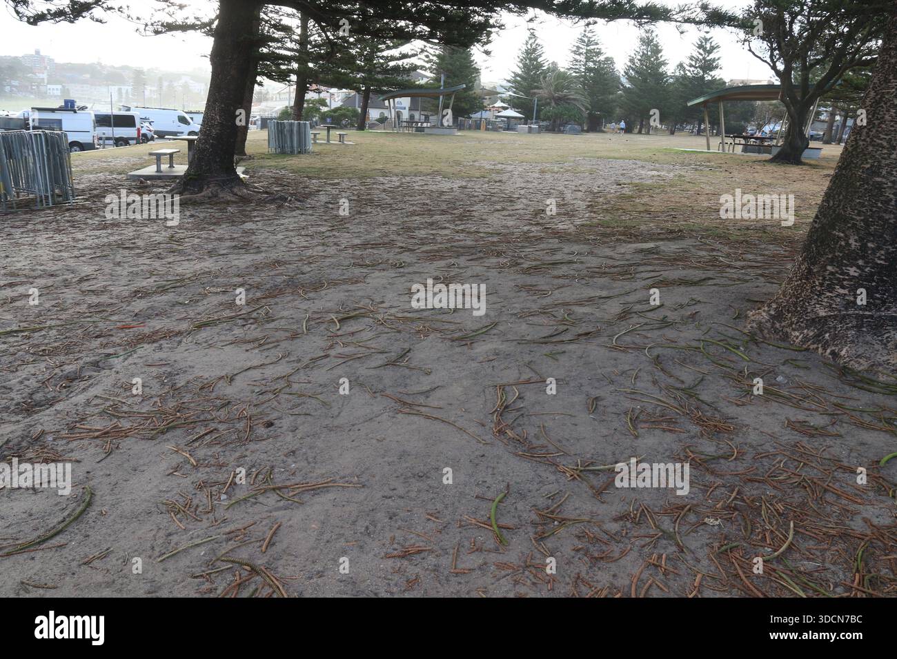 Sydney, Australia. 23rd December 2025. Bondi 9 days after the ISIS ...