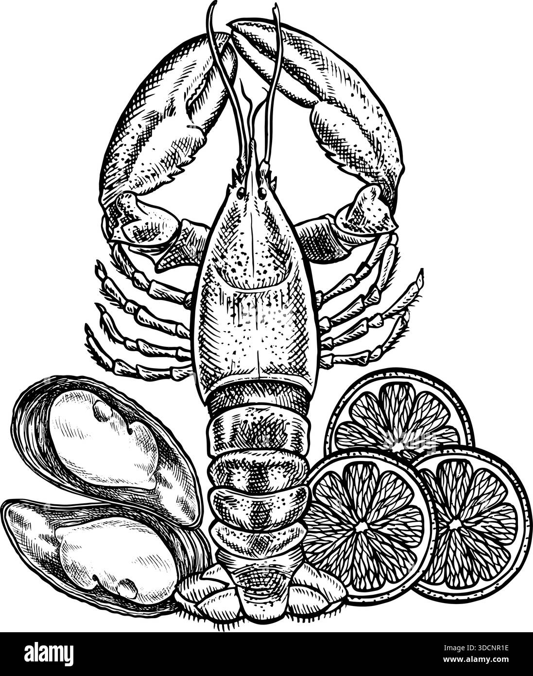 Crayfish art Black and White Stock Photos & Images - Alamy