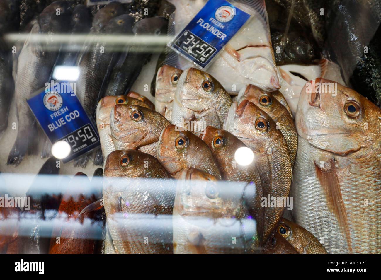 Fish seen on display at Queen Victoria Market ahead of Christmas Eve ...