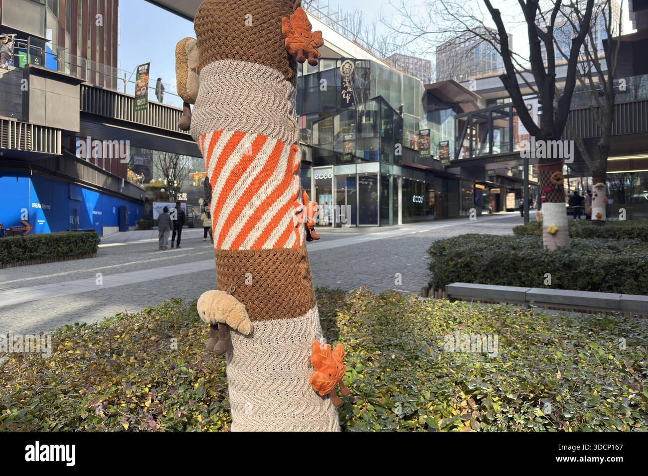 Trees on the street are put on brightly colored "sweaters" for winter ...