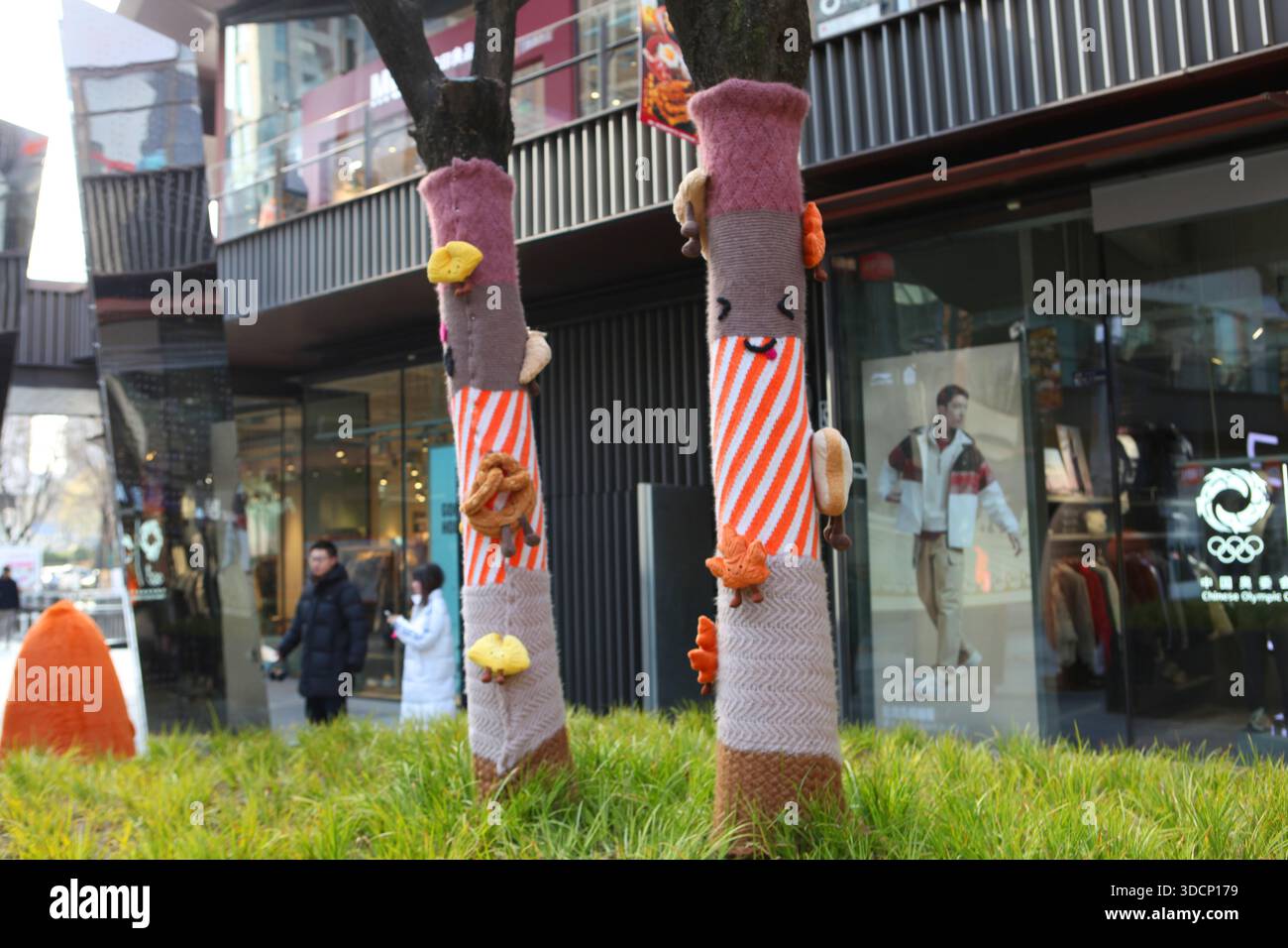 Trees on the street are put on brightly colored "sweaters" for winter ...