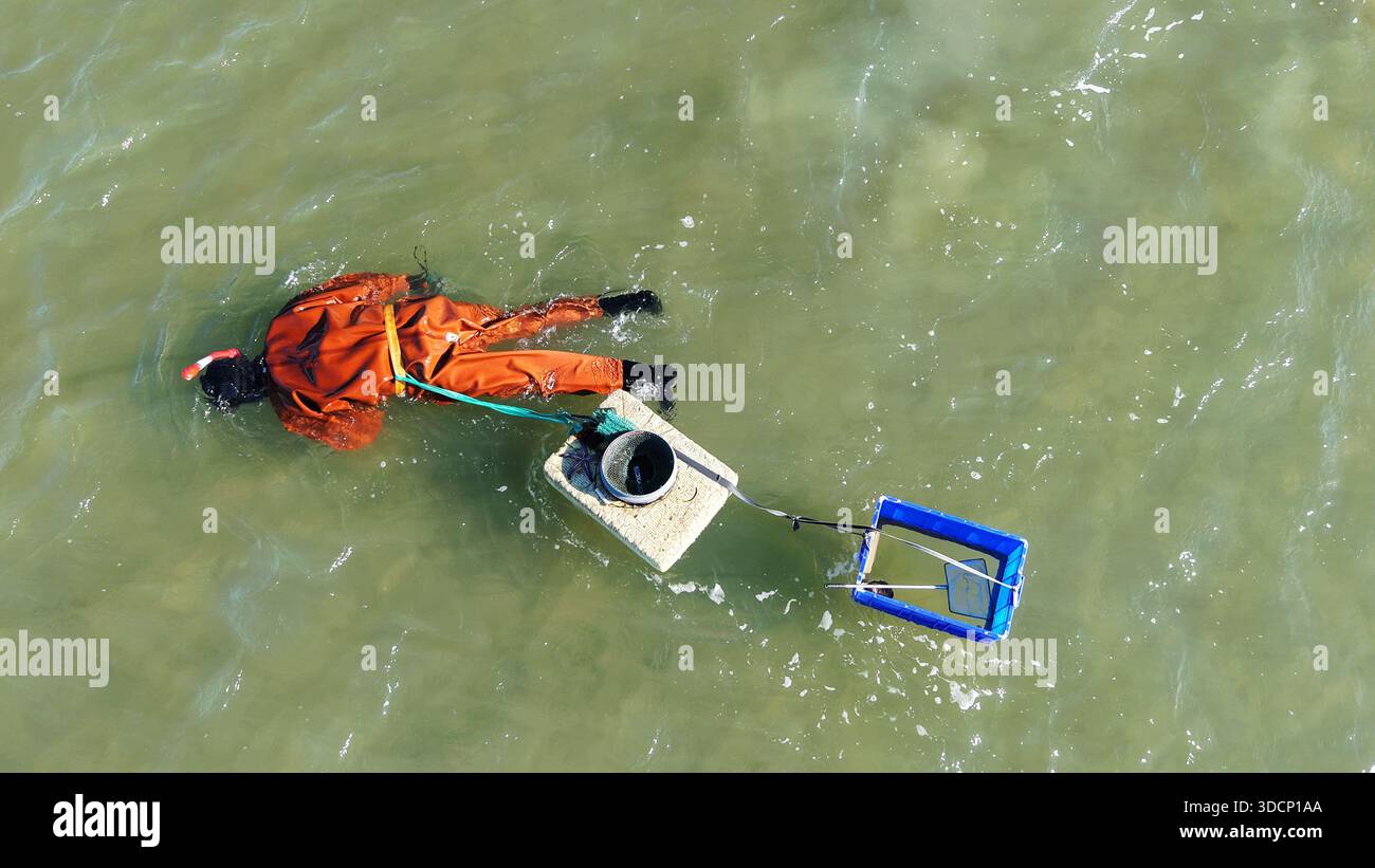 Tourists go beachcombing in Qingdao City, east China's Shandong ...
