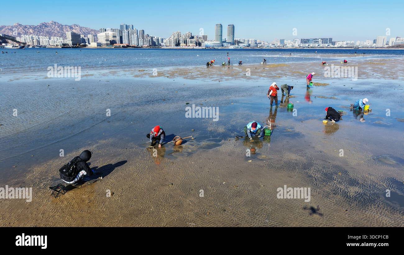 Tourists go beachcombing in Qingdao City, east China's Shandong ...
