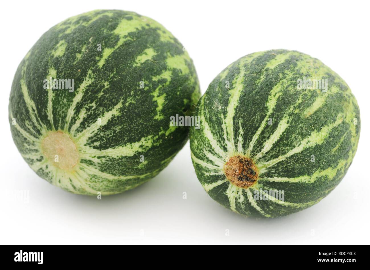 Local organic Cut Out Stock Images & Pictures - Alamy