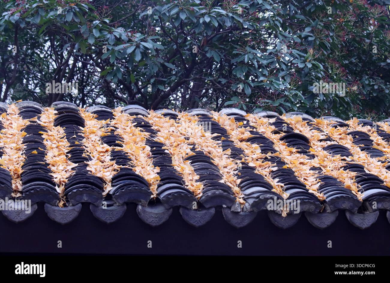 Winter scenery at Hongmei Park in Changzhou City, east China's Jiangsu ...