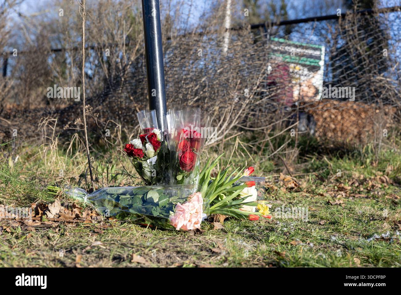 NUNSPEET - Elburgerweg, the day after a collision in which several ...
