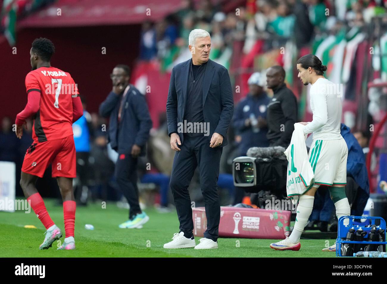 Algeria S Head Coach Vladimir Petkovic During The Africa Cup Of Nations