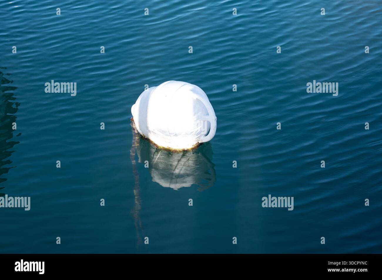 Colorful plastic buoy floating on clear blue water in BirÅ¼ebbuÄa ...
