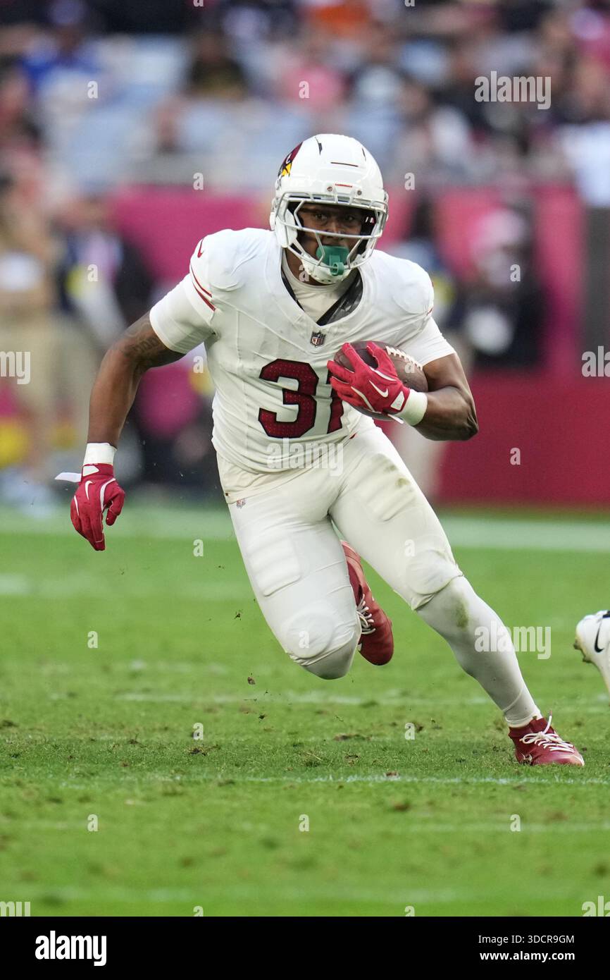 Arizona Cardinals running back Emari Demercado (31) against the Atlanta ...