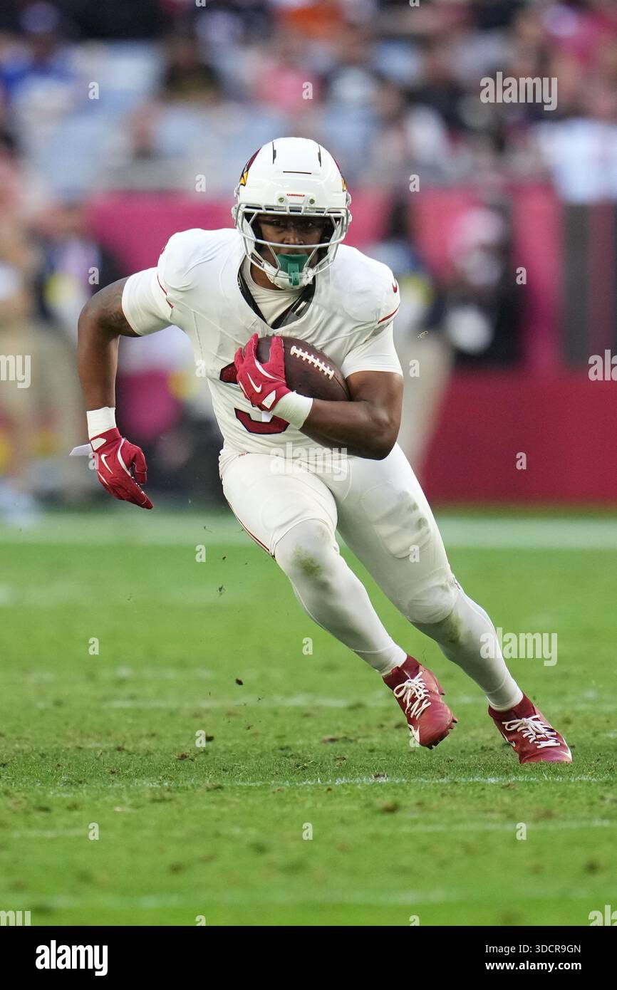 Arizona Cardinals running back Emari Demercado (31) against the Atlanta ...