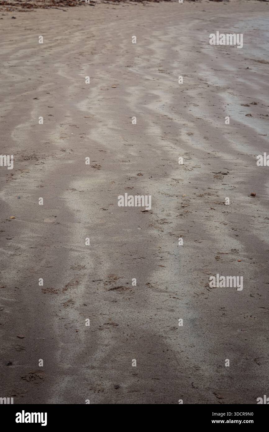 More Beach Textures at Beadnell Bay, Northumberland November 2025 Stock ...