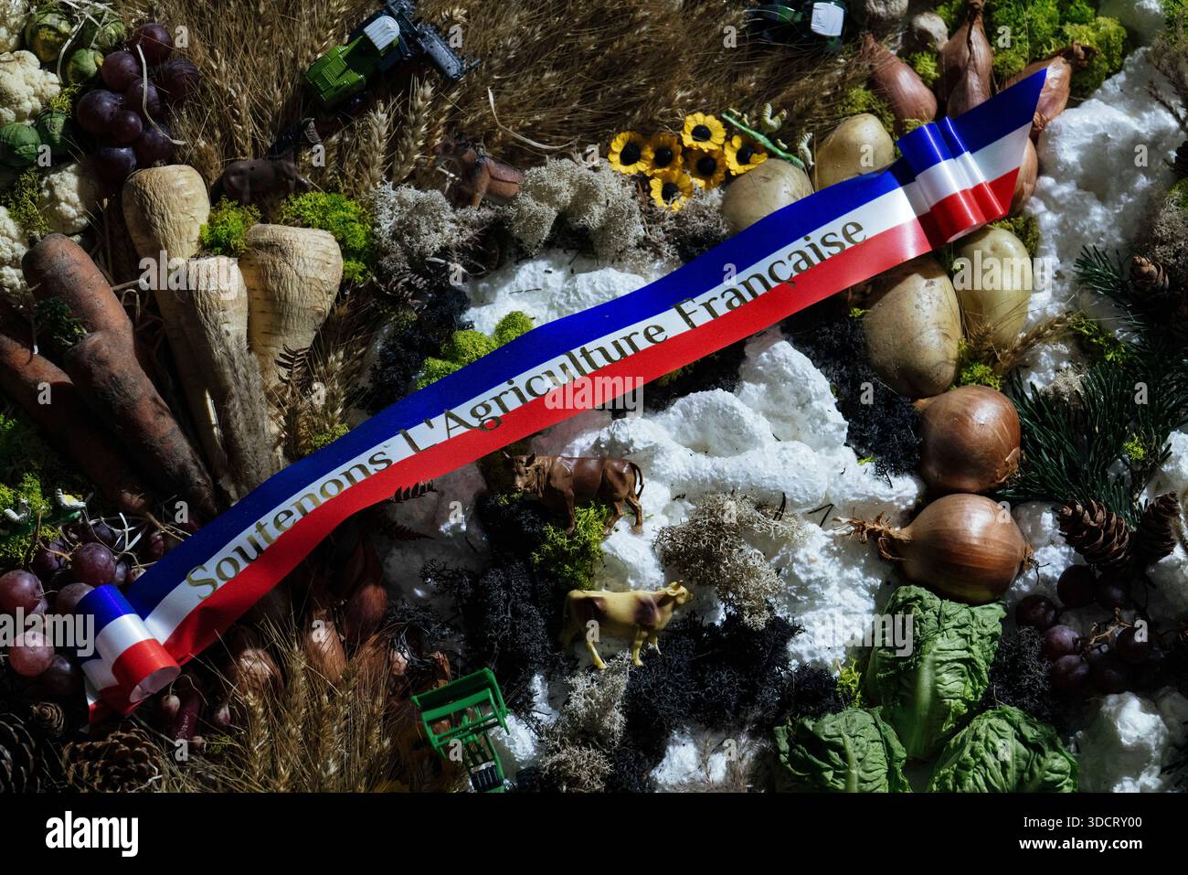 A painting of fruit and vegetables with a scarf of elected officials ...