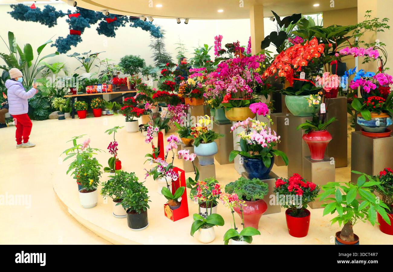 Citizens select flowers at Beijing Flower Trading Center in Fengtai ...
