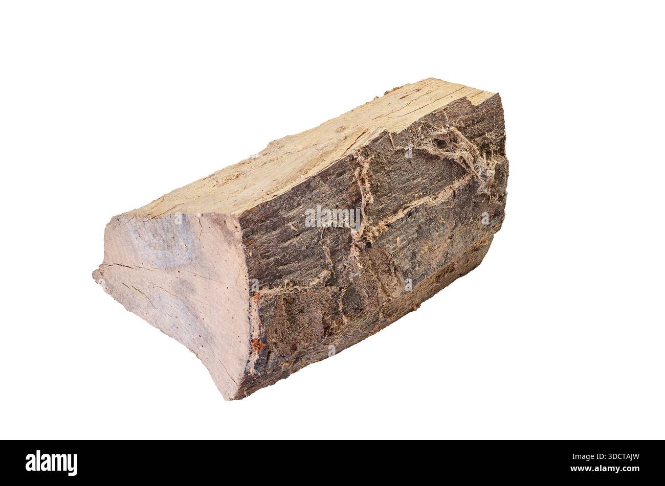 Single piece of rough cut firewood with bark on one side isolated on ...