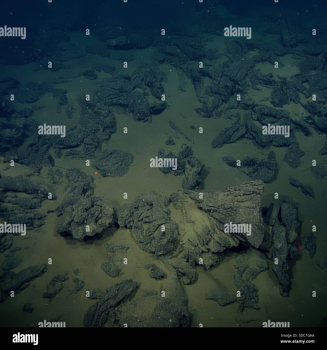 Rock Formations Discovered at 6,400 Meters Depth in the Mariana Trench ...