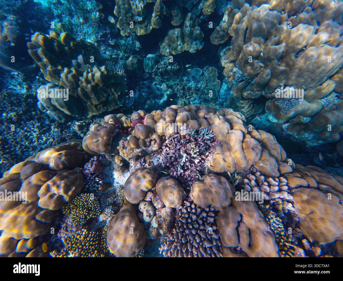 Wildlife ecosystem support hi-res stock photography and images - Alamy