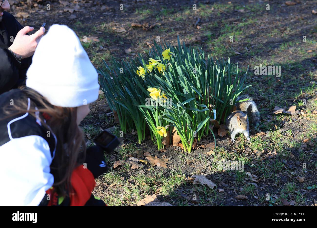 London, UK, 25th December 2025. A sunny but cold Christmas Day saw many ...