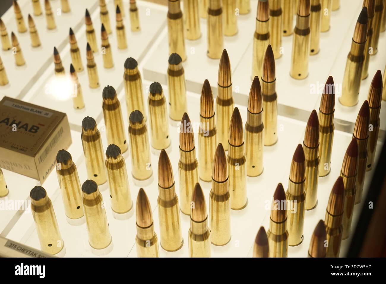 Cartridges and bullets of various calibers and sizes for pistols ...