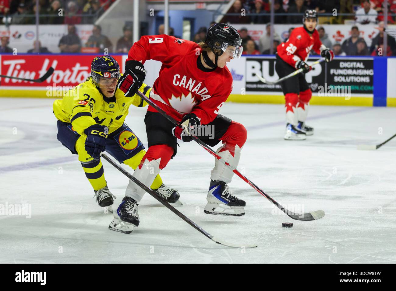 Canada's Gavin McKenna (9) protects puck from Sweden's Casper ...