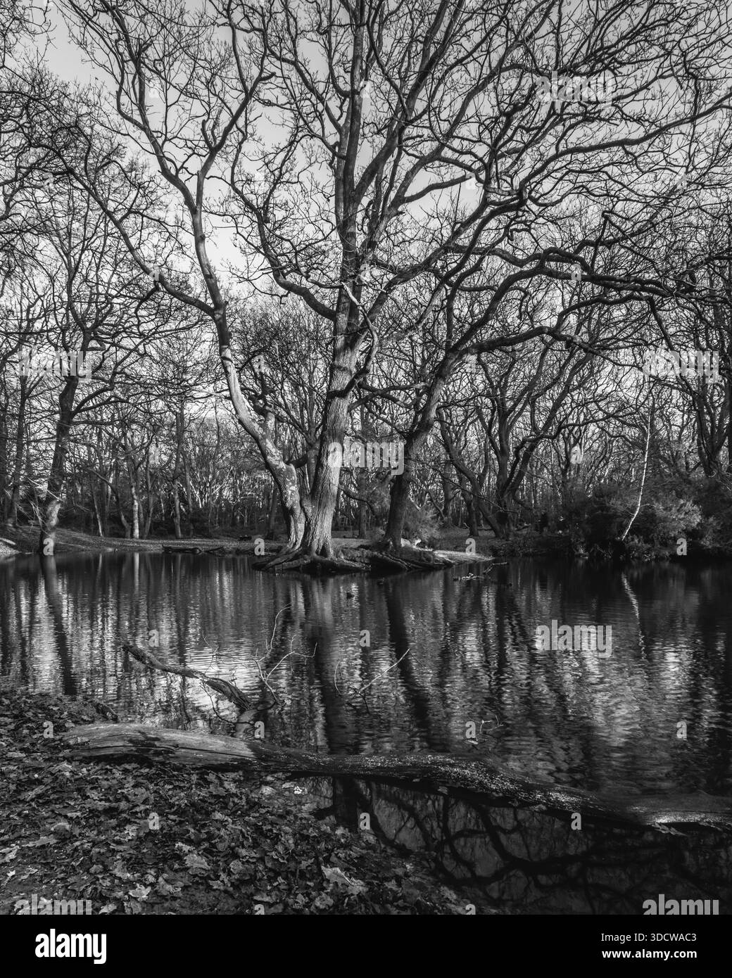 Landscape view water ponds Black and White Stock Photos & Images - Alamy