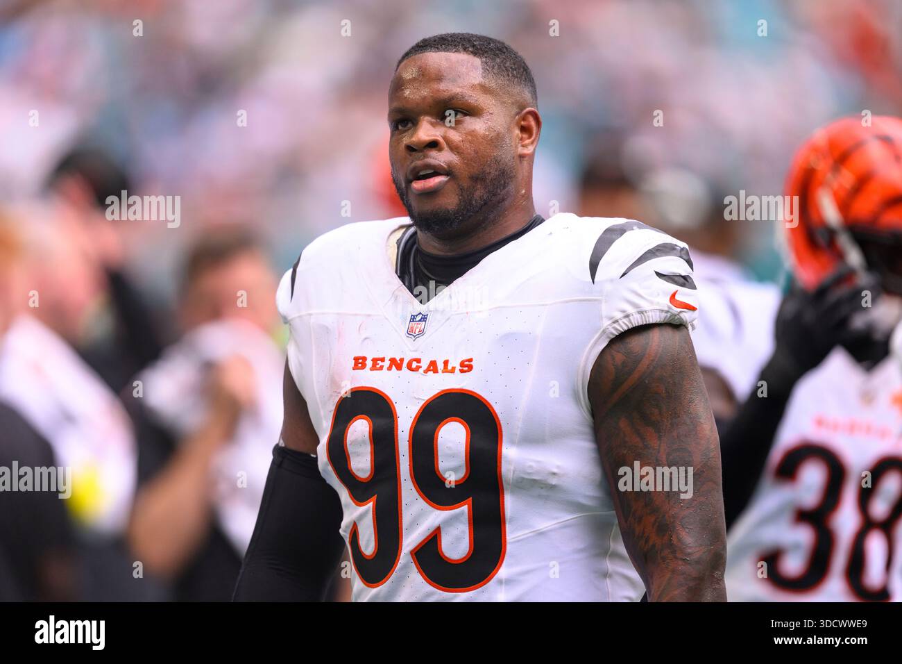 Cincinnati Bengals defensive end Myles Murphy (99) stands on the ...