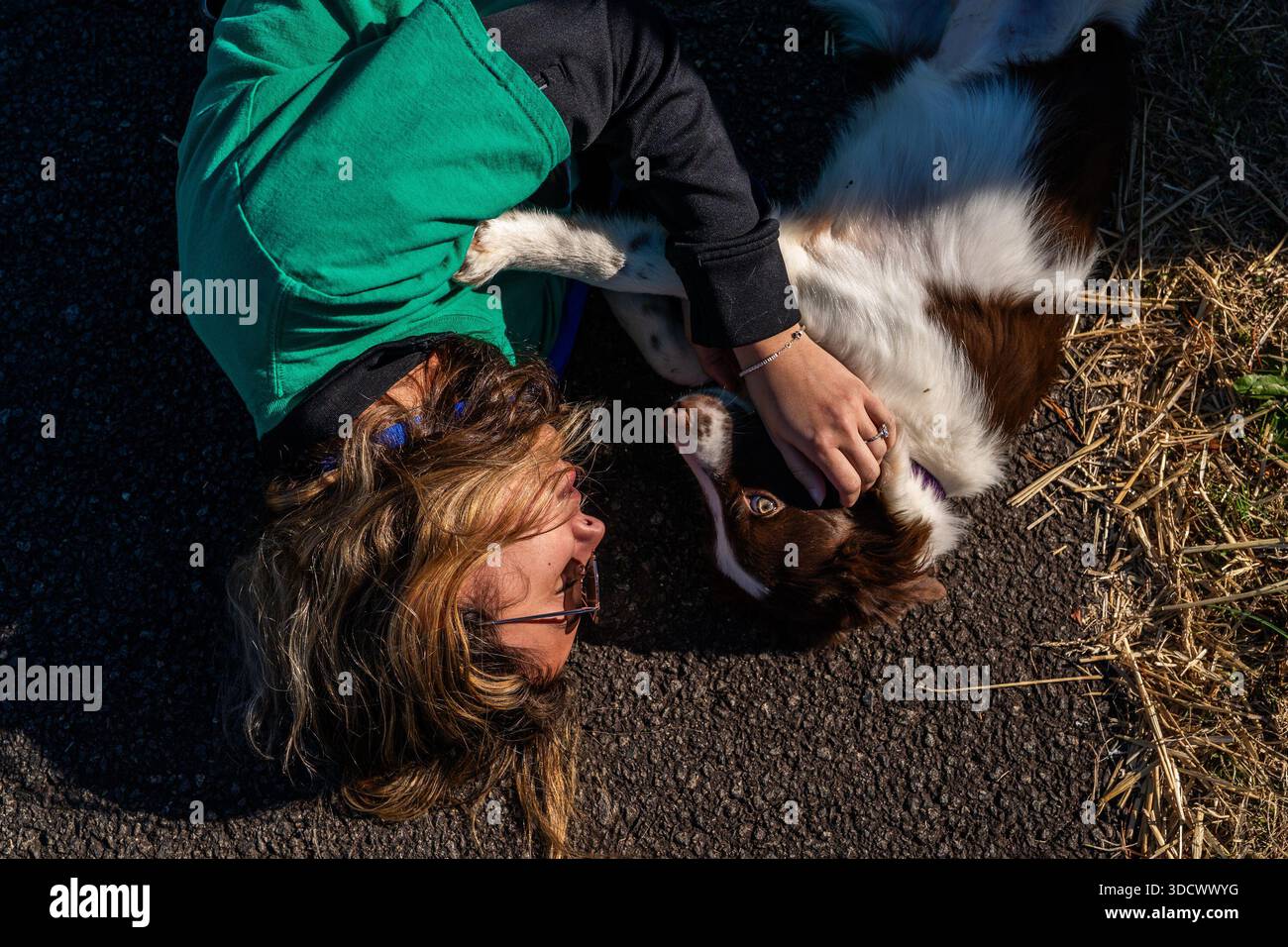 FILE - Seuk's Army volunteer Katelynn Aldarondo cuddles with a dog from ...