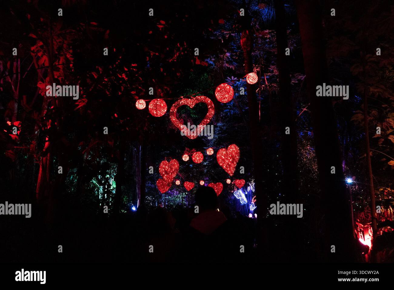 People attend LUMAGICA Holidays light show at Yarkon Park in Tel Aviv ...