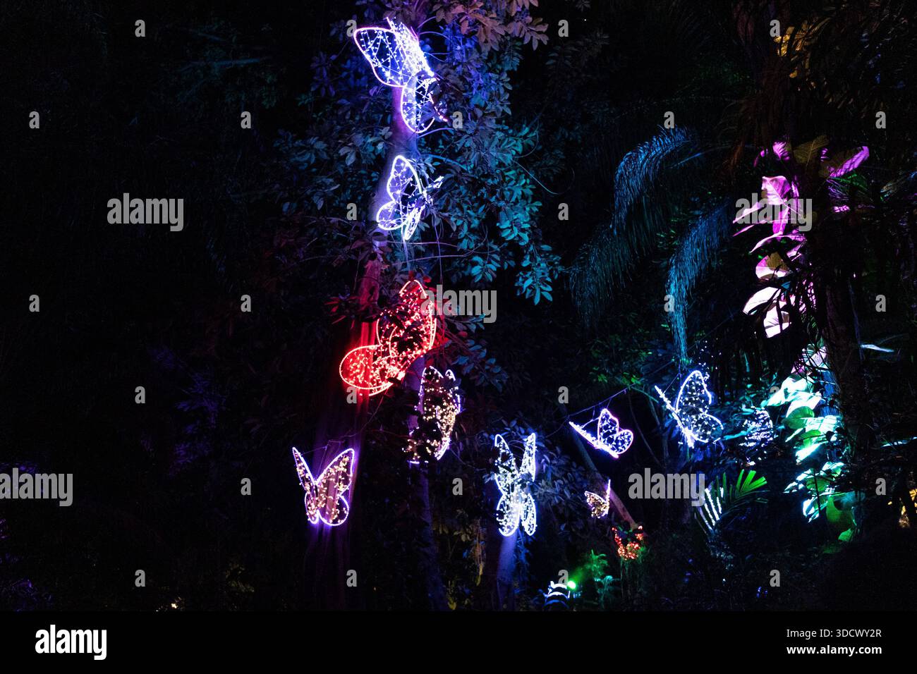 People attend LUMAGICA Holidays light show at Yarkon Park in Tel Aviv ...