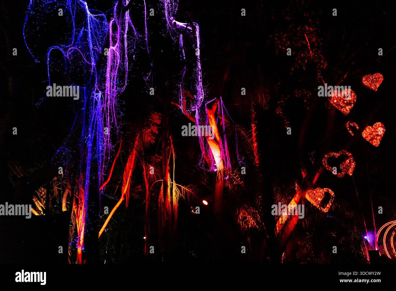 People attend LUMAGICA Holidays light show at Yarkon Park in Tel Aviv ...