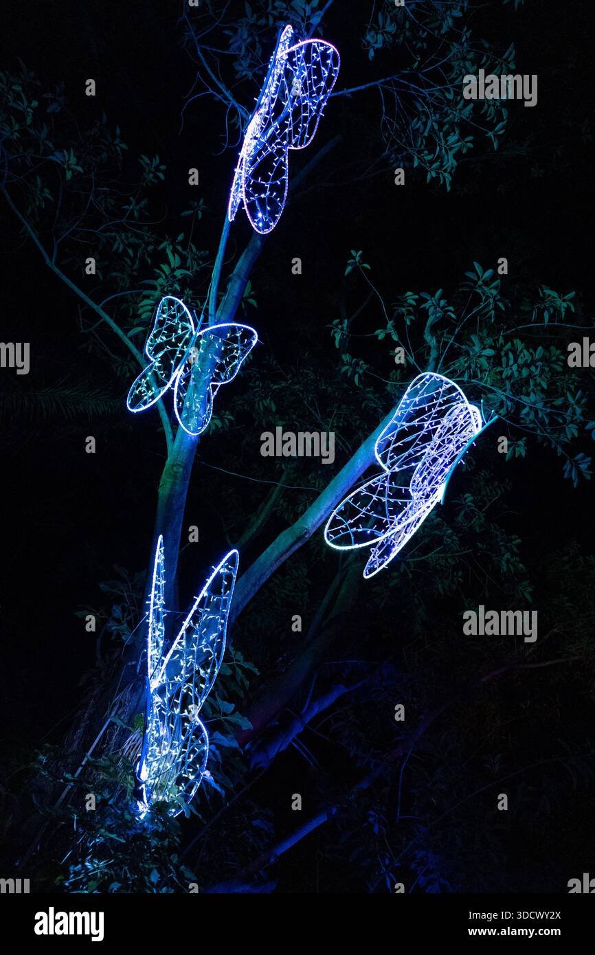 People attend LUMAGICA Holidays light show at Yarkon Park in Tel Aviv ...