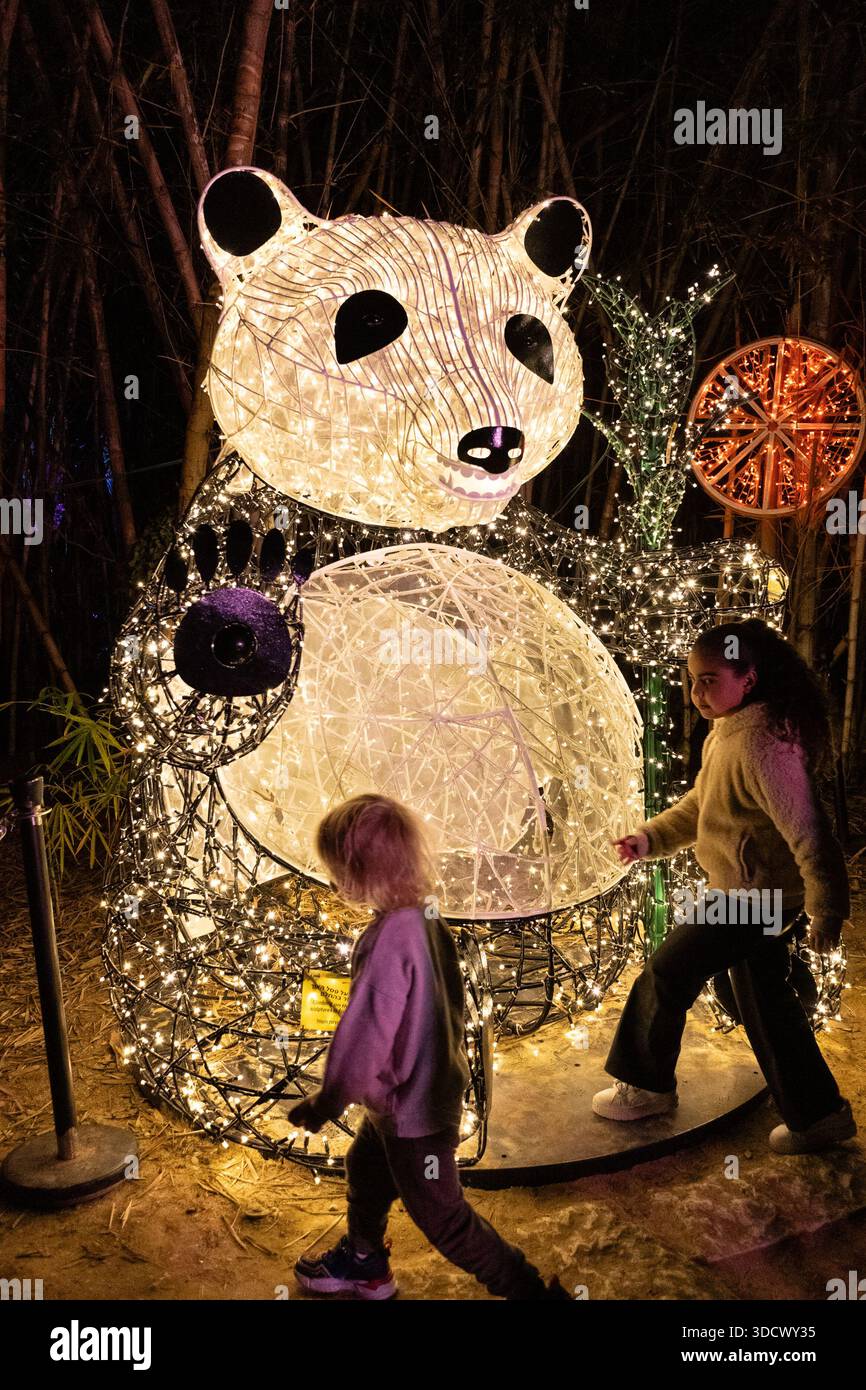 People attend LUMAGICA Holidays light show at Yarkon Park in Tel Aviv ...