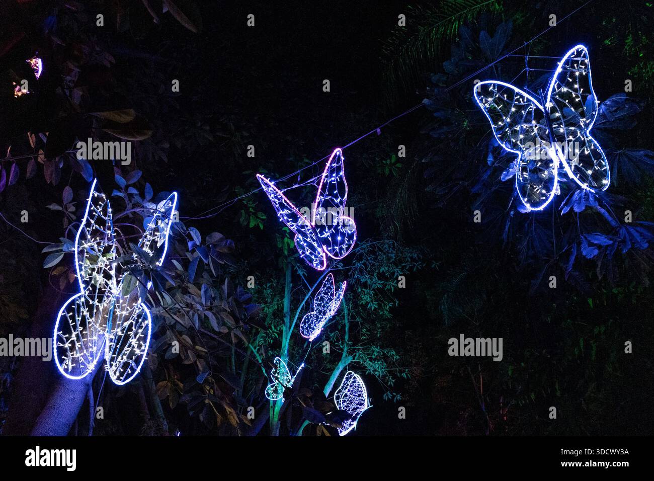 People attend LUMAGICA Holidays light show at Yarkon Park in Tel Aviv ...