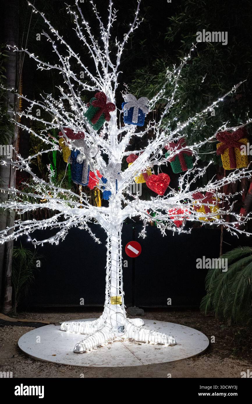 People attend LUMAGICA Holidays light show at Yarkon Park in Tel Aviv ...