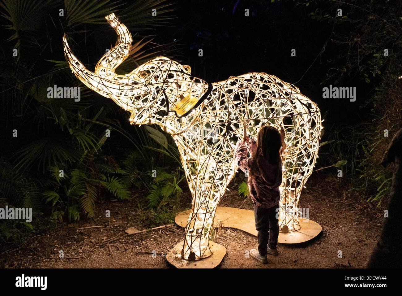 People attend LUMAGICA Holidays light show at Yarkon Park in Tel Aviv ...
