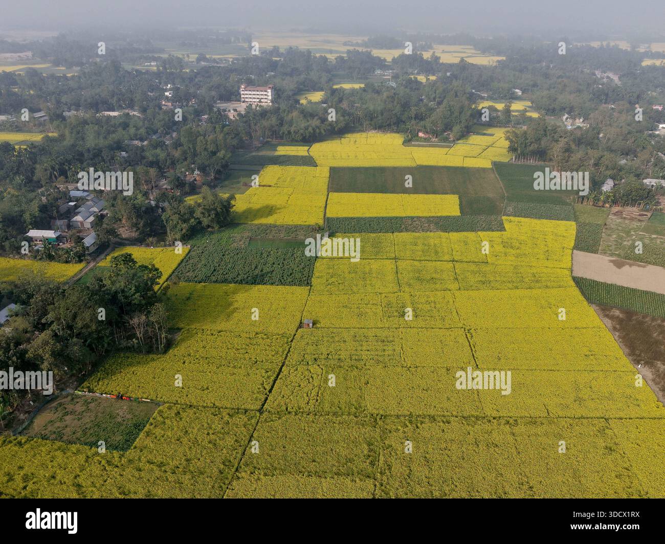 December 22, 2025: default (Credit Image: © SOPA Images via ZUMA Press ...