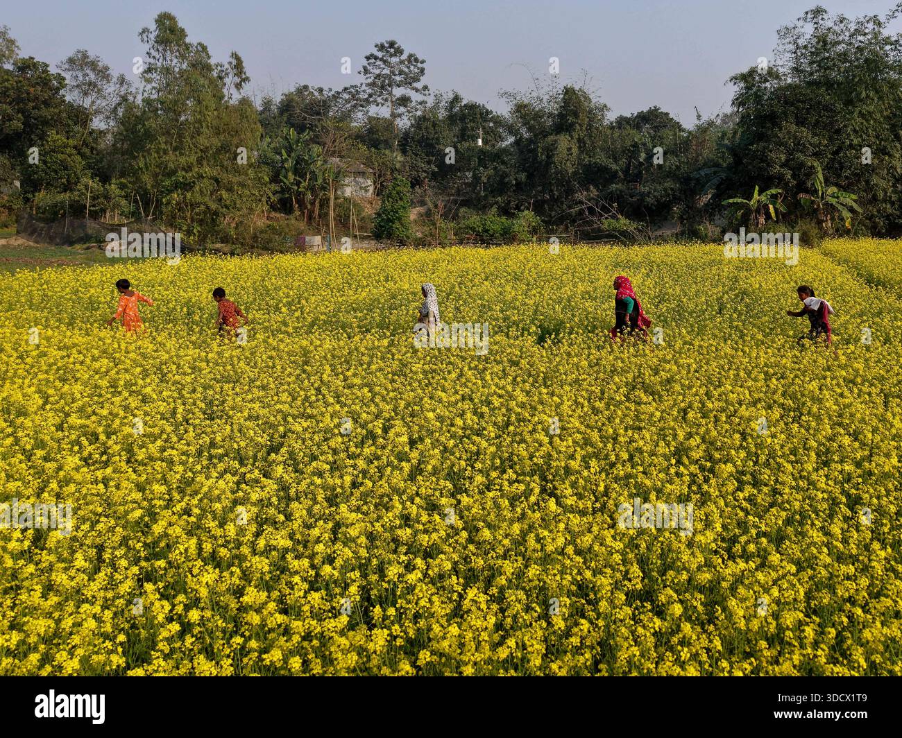 December 22, 2025: default (Credit Image: © SOPA Images via ZUMA Press ...