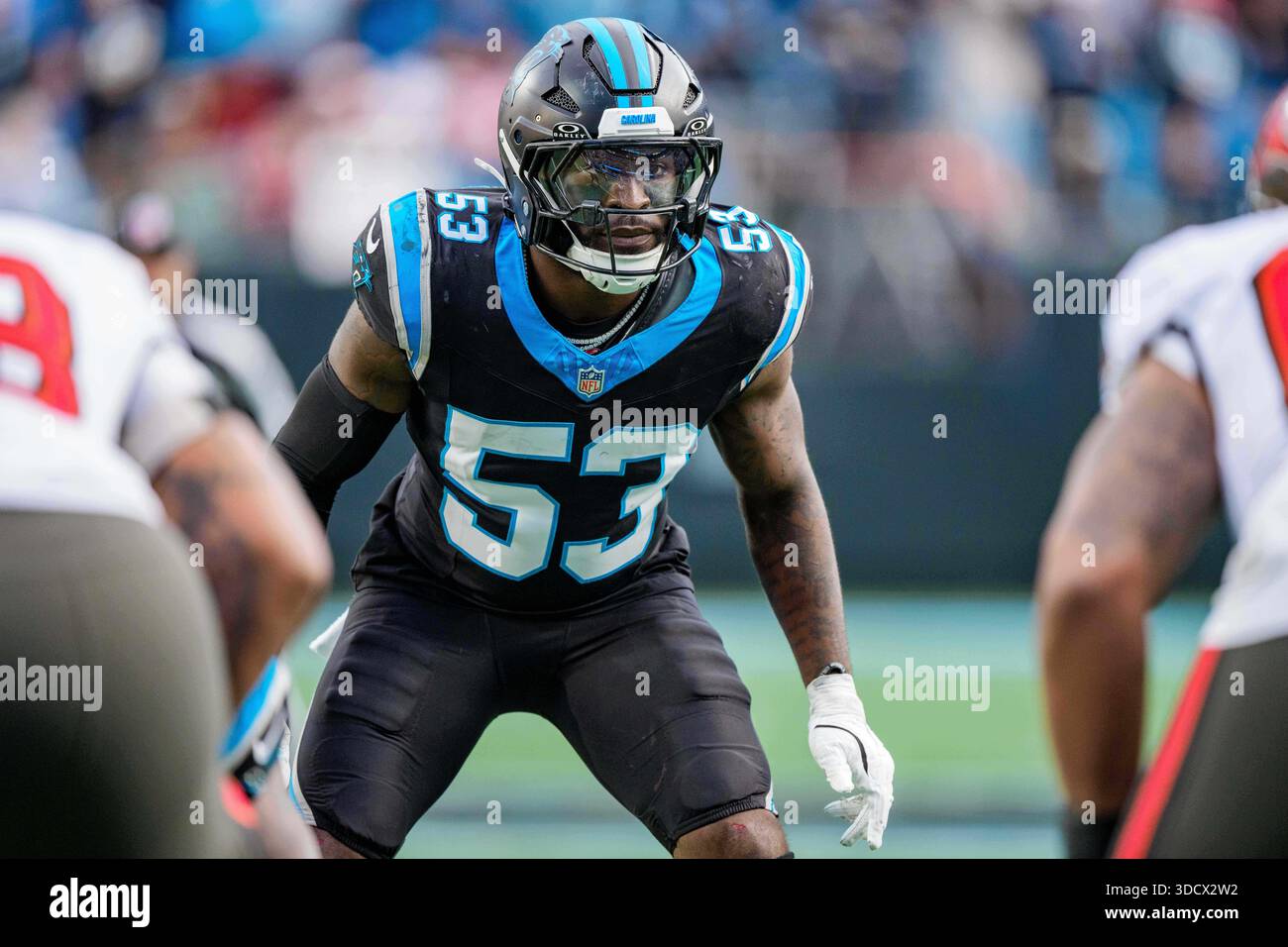 Carolina Panthers linebacker Claudin Cherelus (53) lines up during an ...